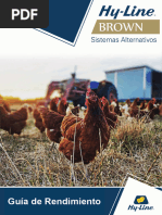 Guia de Rendimiento W80 2024 | PDF | Determinantes de la salud ...