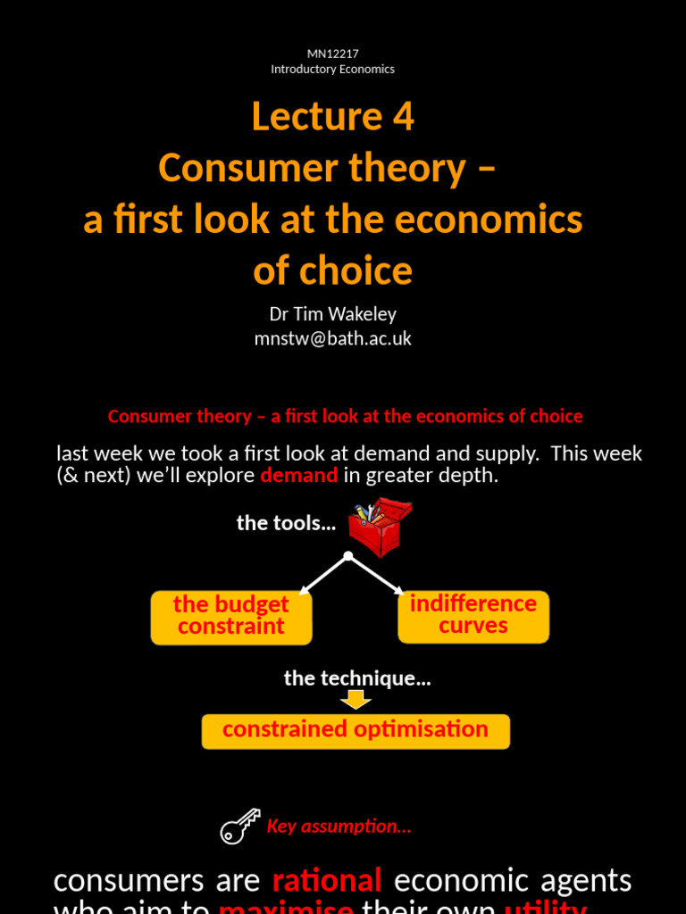 MN12217 - Lecture 4 Slide Deck | PDF | Utility | Economies
