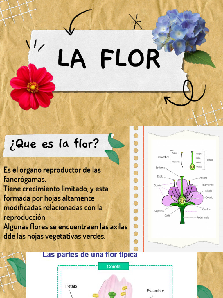 La Flor | PDF