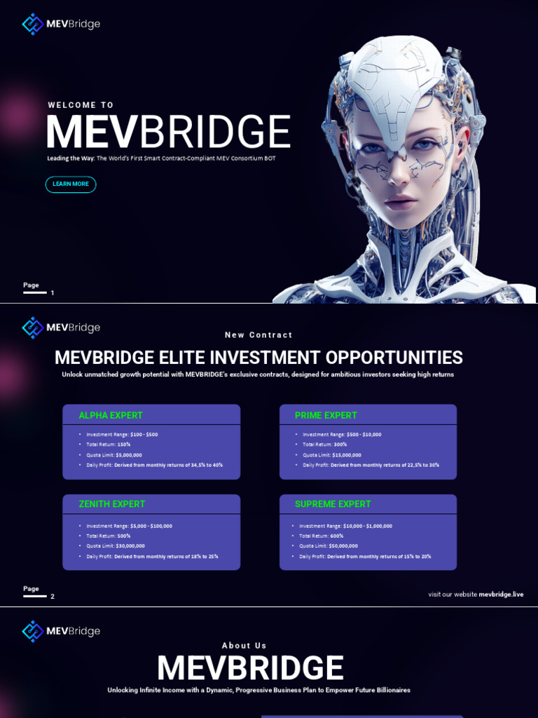 Mevbridge New Plan 8oct - 241013 - 164925 | PDF | Economies | Investing