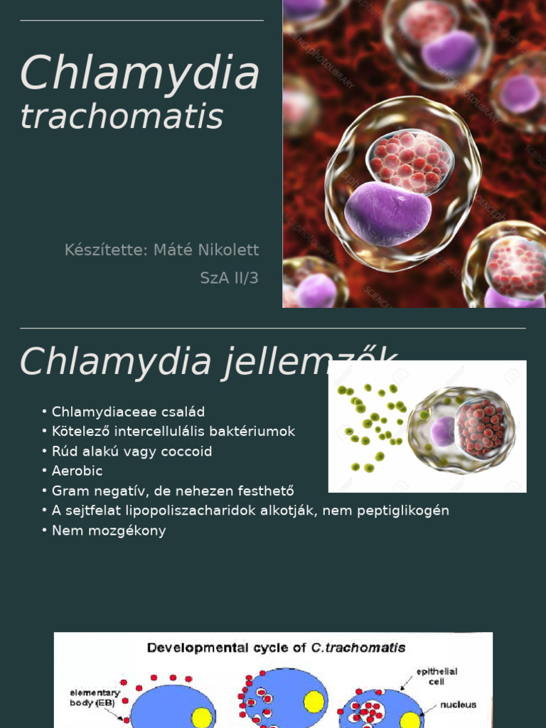 Chlamydia | PDF