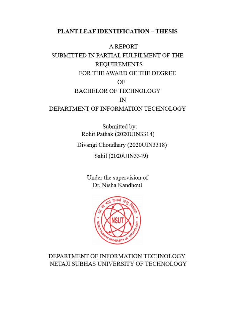BTP Report 1 (2) (1) Vewgewgew | PDF | Image Segmentation | Machine Learning