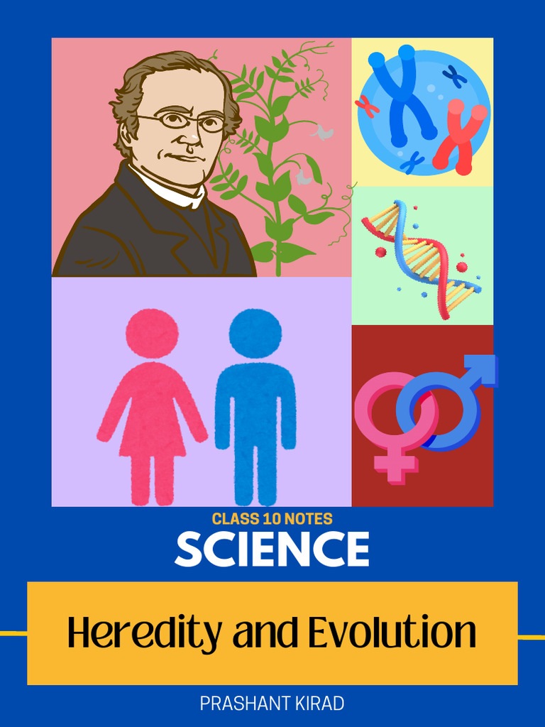 Class 10 Heredity Notes by Prashant Kirad | PDF | Dominance (Genetics ...