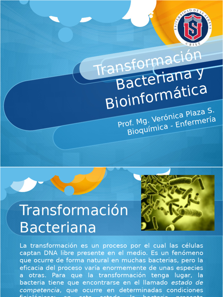 Transformacion Bacteriana y Bioinformatica | PDF | Transformación (Genética) | Las bacterias