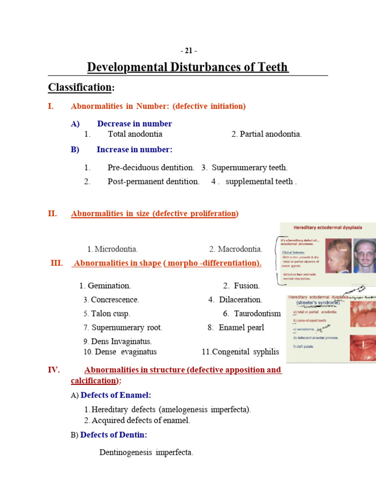 Dental Anomalies Handout Edited | PDF | Human Tooth | Dental Anatomy