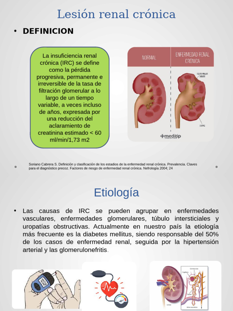 Enfermedad Renal Cronica | PDF | Riñón | Sistema urinario