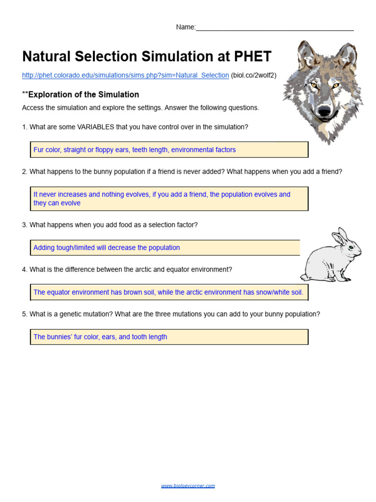 PHET - Natural Selection Simulation | PDF | Natural Selection ...