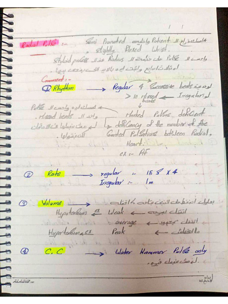 Radial Pulse & Blood Pressure | PDF