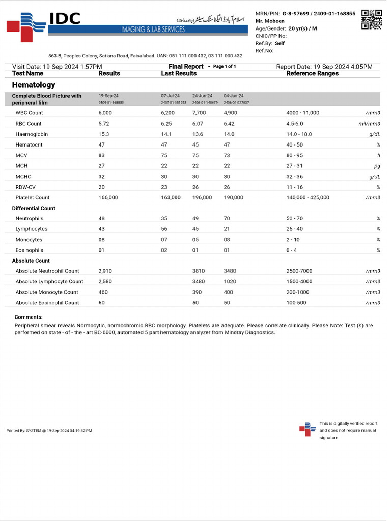 Patient Report PDF | PDF