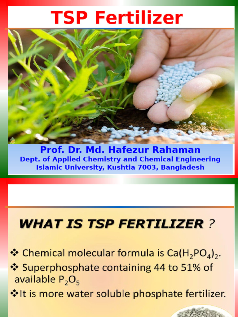 TSP Fertilizer - ACCE-4201 | PDF