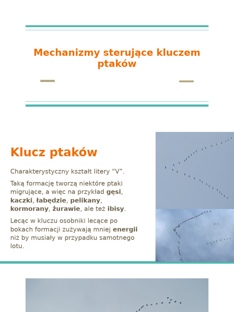 Mechanisms Behind Bird Flocks Formations | PDF