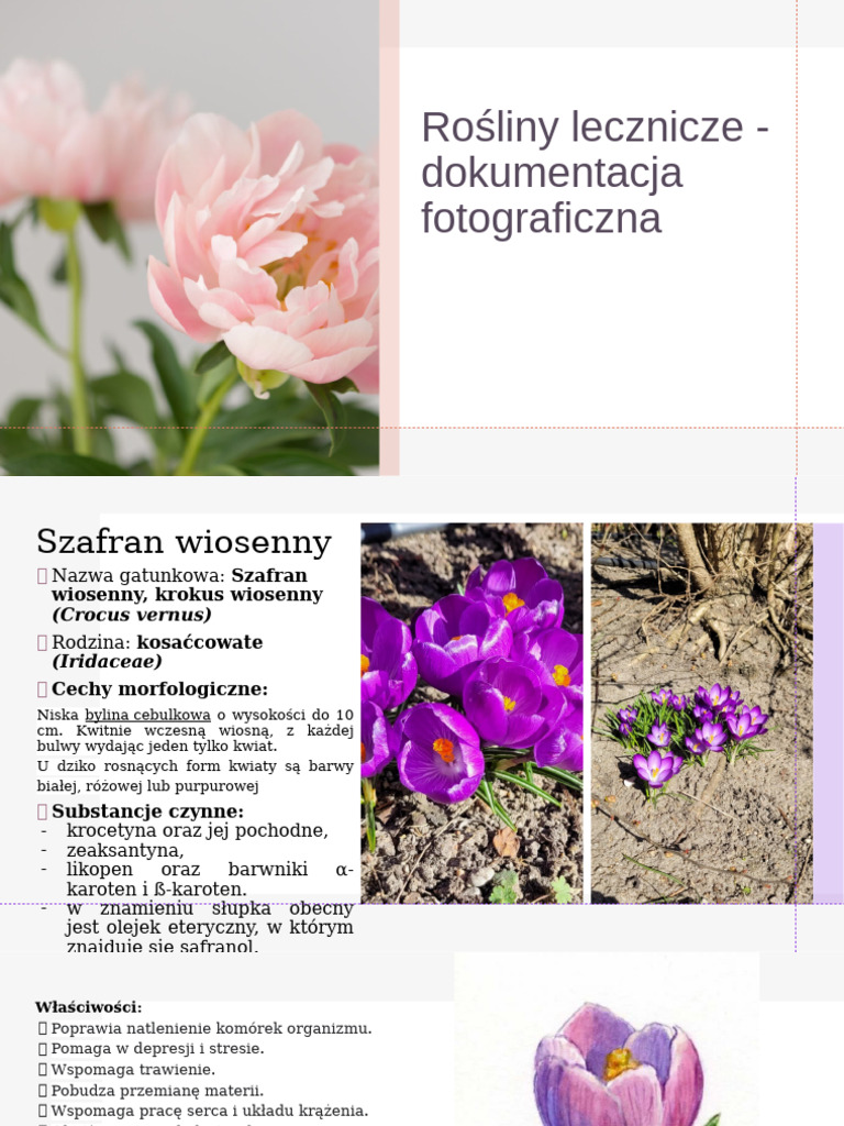 Medicinal plants - photographic documentation | PDF