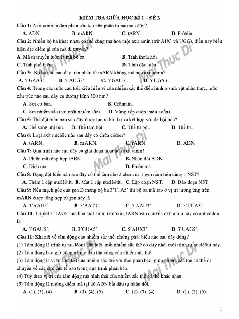 Kiểm Tra Giữa Hk1 - Sinh 12 - Đề 2 Hs | PDF