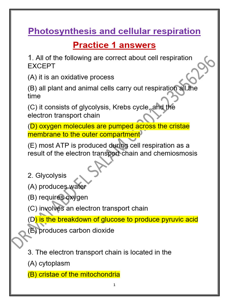 Photosynthesis and Cellular Respiration Quiz | PDF | Cellular ...