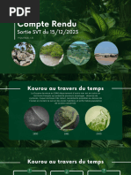 Anatomie des anses grêles et mésentère | PDF | Péritoine | Spécialités ...