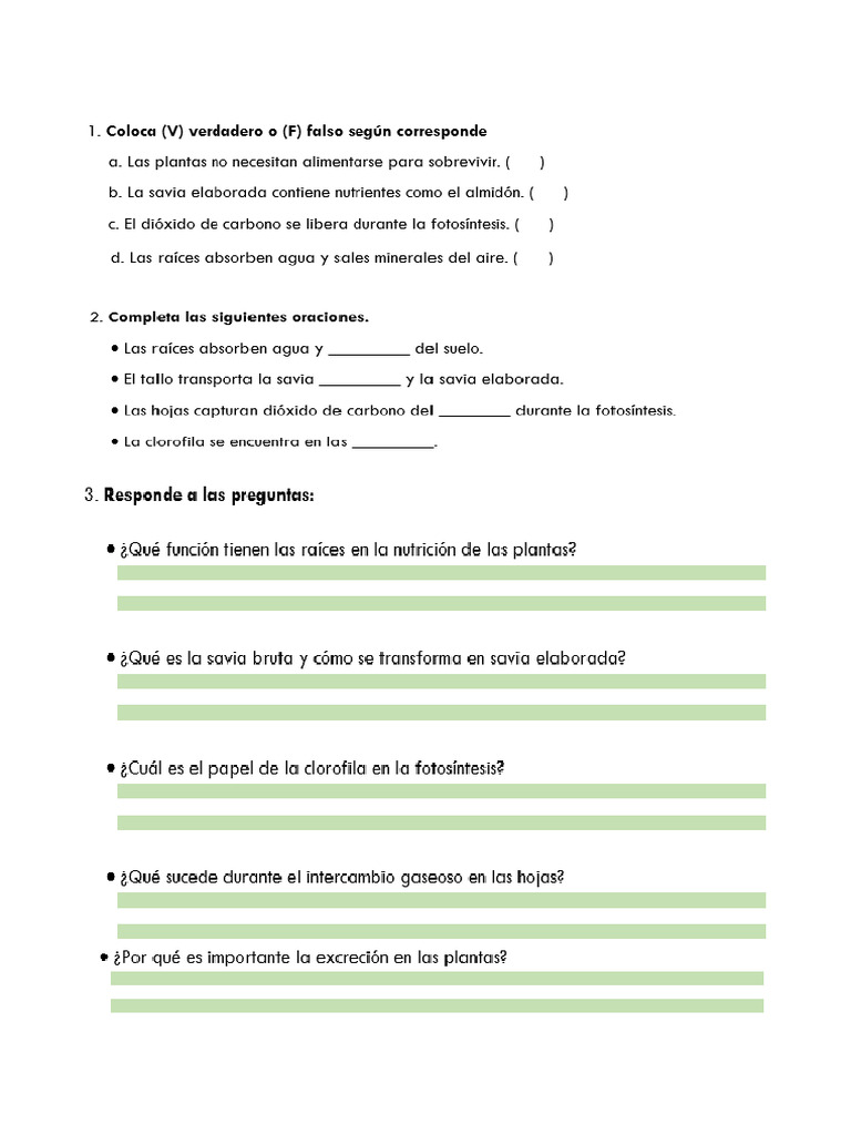 Evaluación de Las Plantas Cuarto | PDF | Ciencia y matemáticas