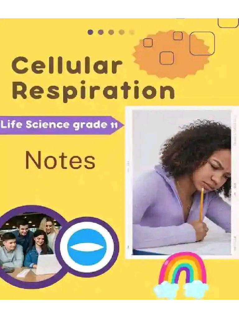 Cellular Respiration (Life Science) | PDF