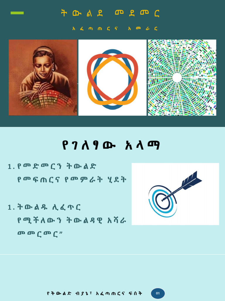 MEDEMER Generation | PDF