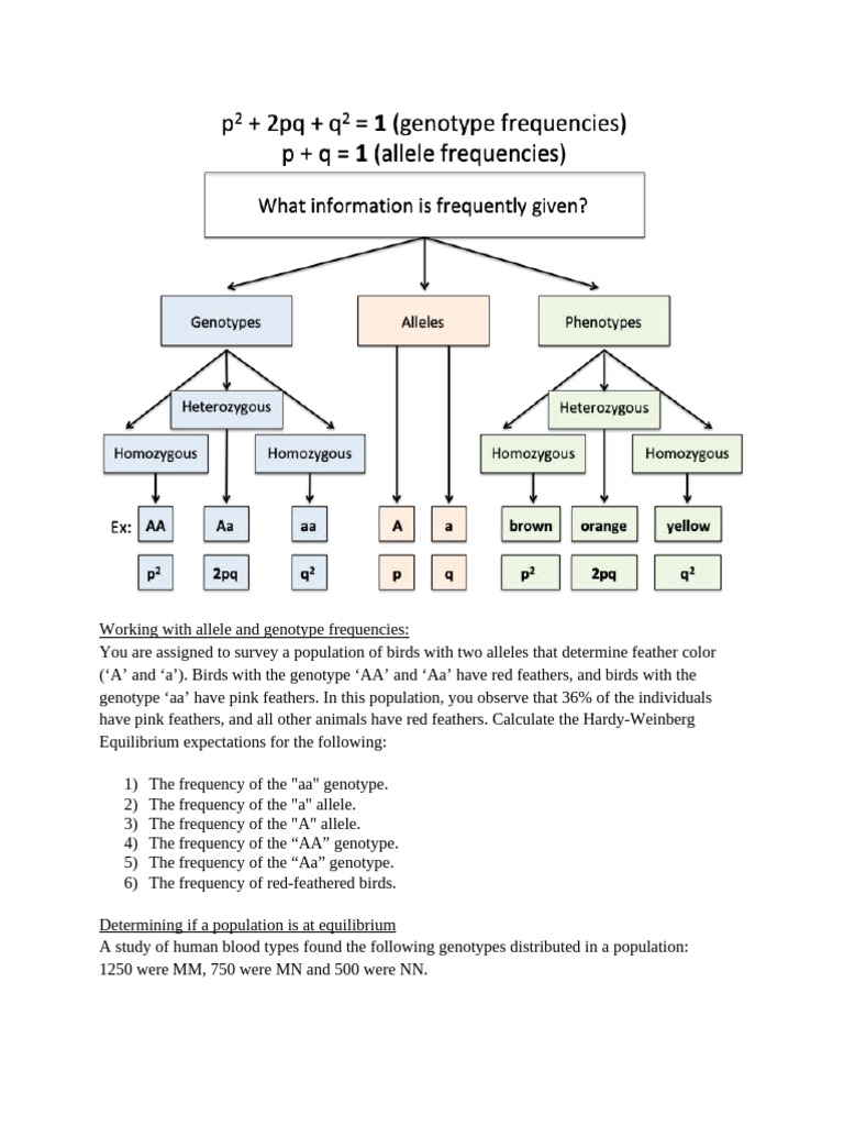 HW Practice Problems_v2 | PDF