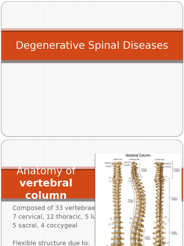 Degenerative Spinal Diseases | PDF | Vertebra | Vertebral Column