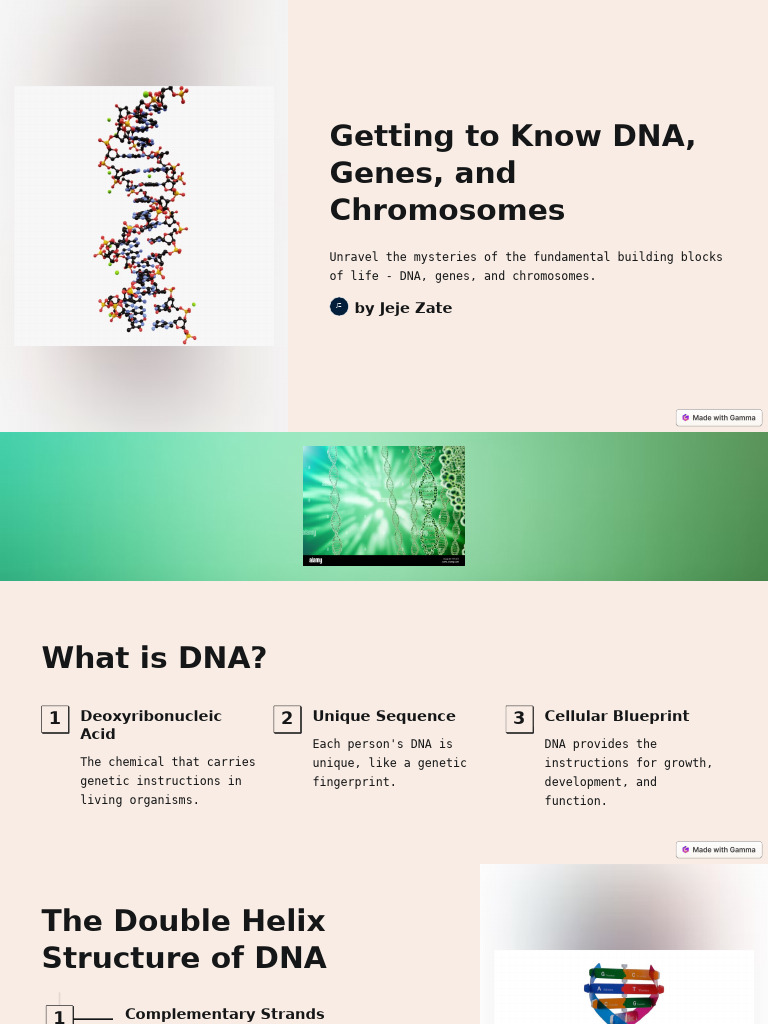 Getting To Know DNA Genes and Chromosomes | PDF | Genetics | Dna