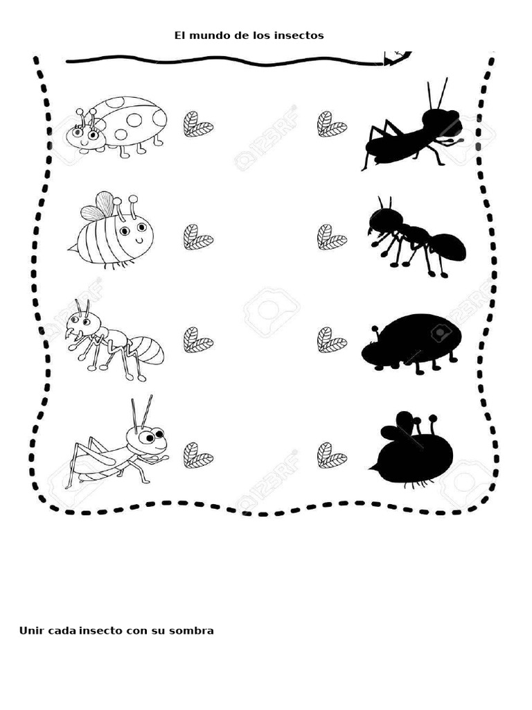 Actividades de Insectos para Preescolar | PDF | Derecho