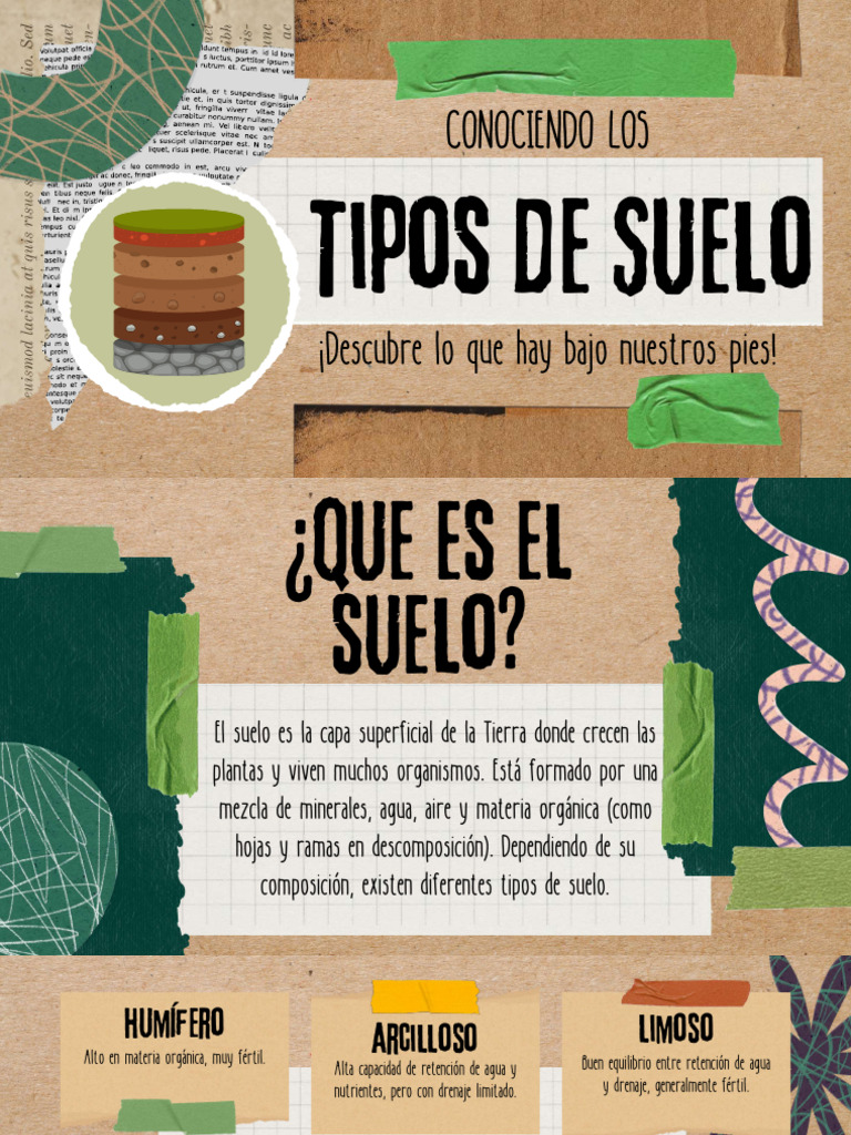 Presentación Consejos para Reciclar Ecología Collage Marrón y Verde ...