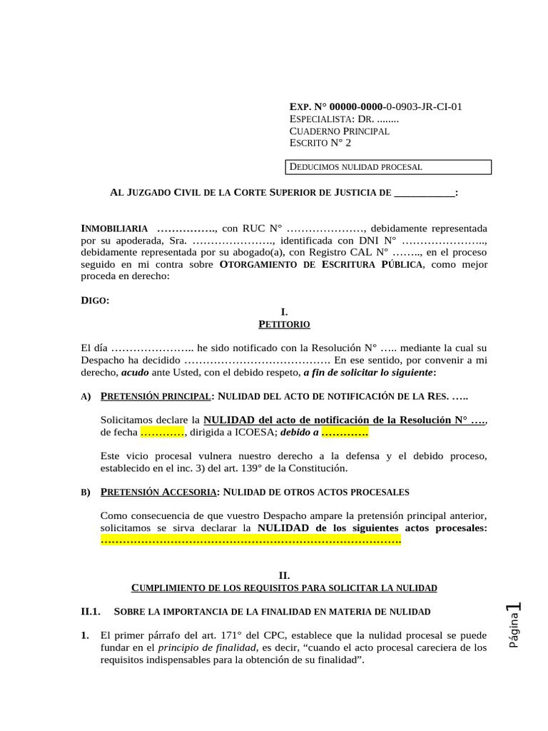 Modelo de Pedido de Nulidad | PDF | Debido al proceso | Ley Pública