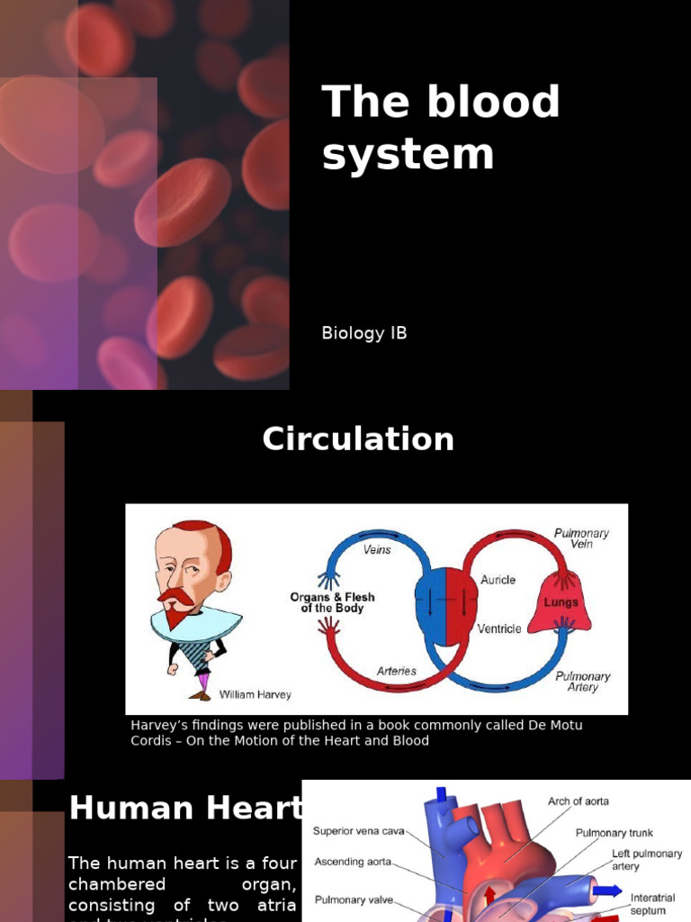 Human Heart and Blood Circulation Overview | PDF | Artery | Heart