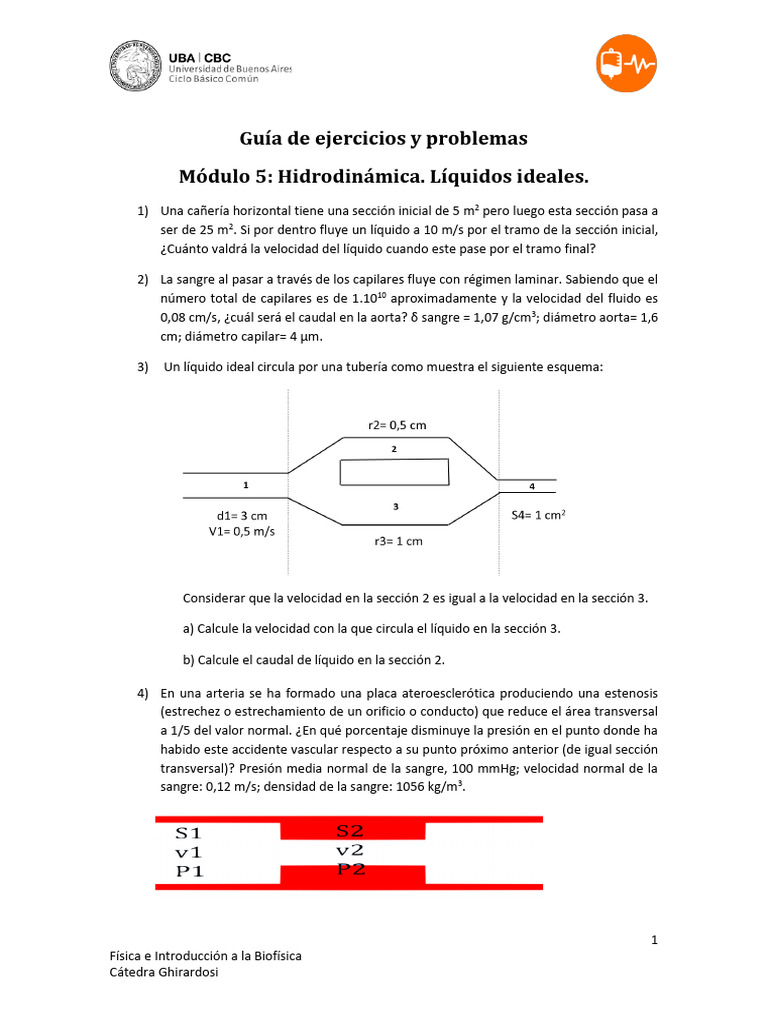 MÓDULO 5. Guía de Ejercicios y Problemas (2024) | PDF | Capilar | Presión