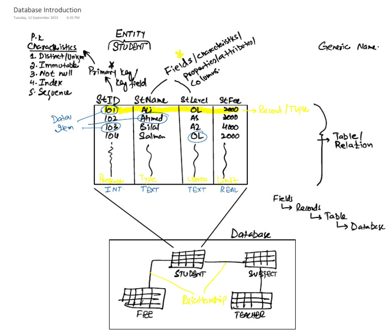 Database Introduction | PDF
