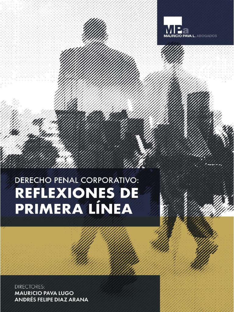 Libro Primera Línea | PDF | Derecho penal | Constitución