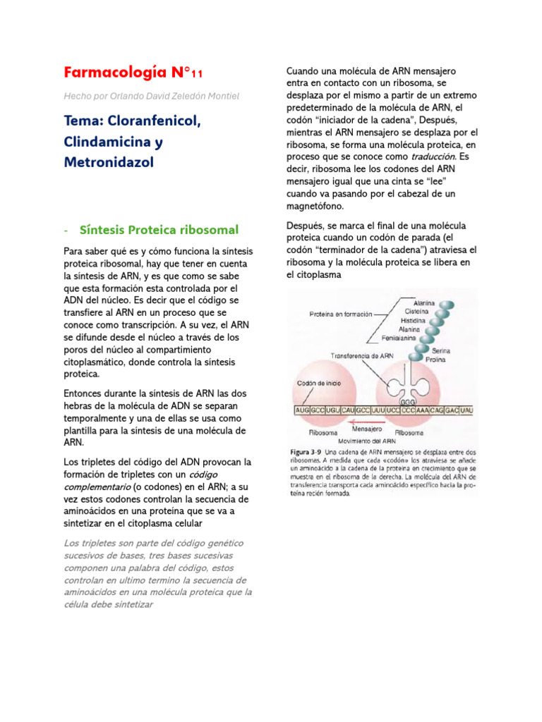 Farmacología N11 | PDF | Rna | Ribosoma