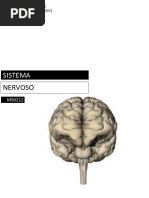 Forames Do Crânio | PDF | Neuroanatomia | Anatomia humana