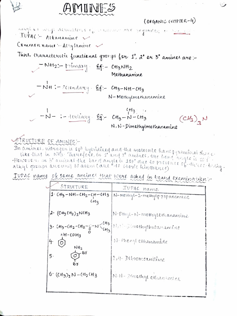 Chemistry (AMINES) | PDF | Amine | Chemical Compounds