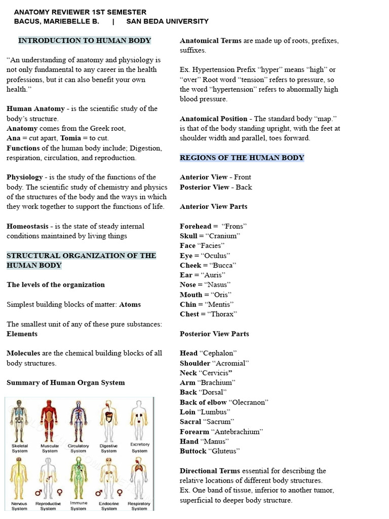 ANATOMY | PDF | Abdomen | Anatomical Terms Of Location