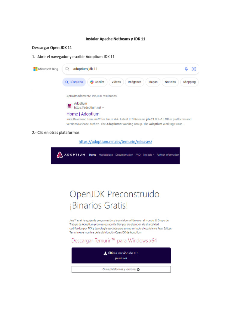 Instalar Apache Netbeans y JDK 11 | PDF | Negocios