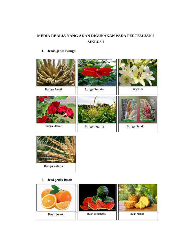 Media Realia Yang Akan Digunakan Pada Pertemuan 2 Siklus I | PDF
