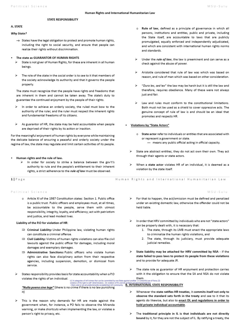 #2 Human Rights - State Responsibility | PDF | International Law | Human Rights