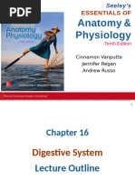 CHAPTER 6 Muscular System | PDF | Motor Neuron | Neuromuscular Junction
