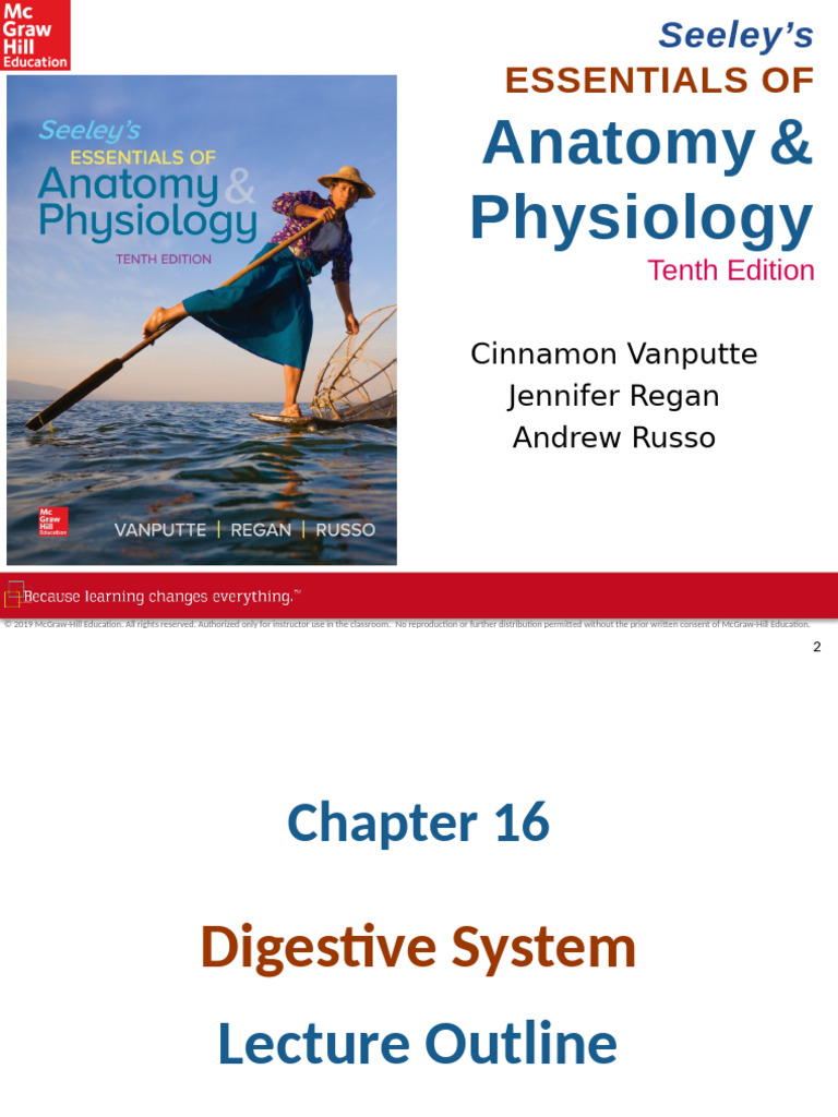 Chapter 16: The Digestive System | PDF | Human Digestive System | Stomach