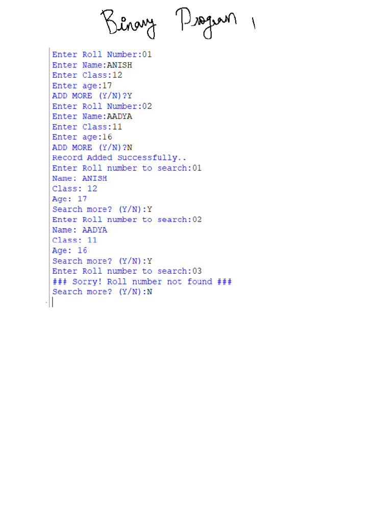 BINARY FILE PROGRAM Outputs | PDF