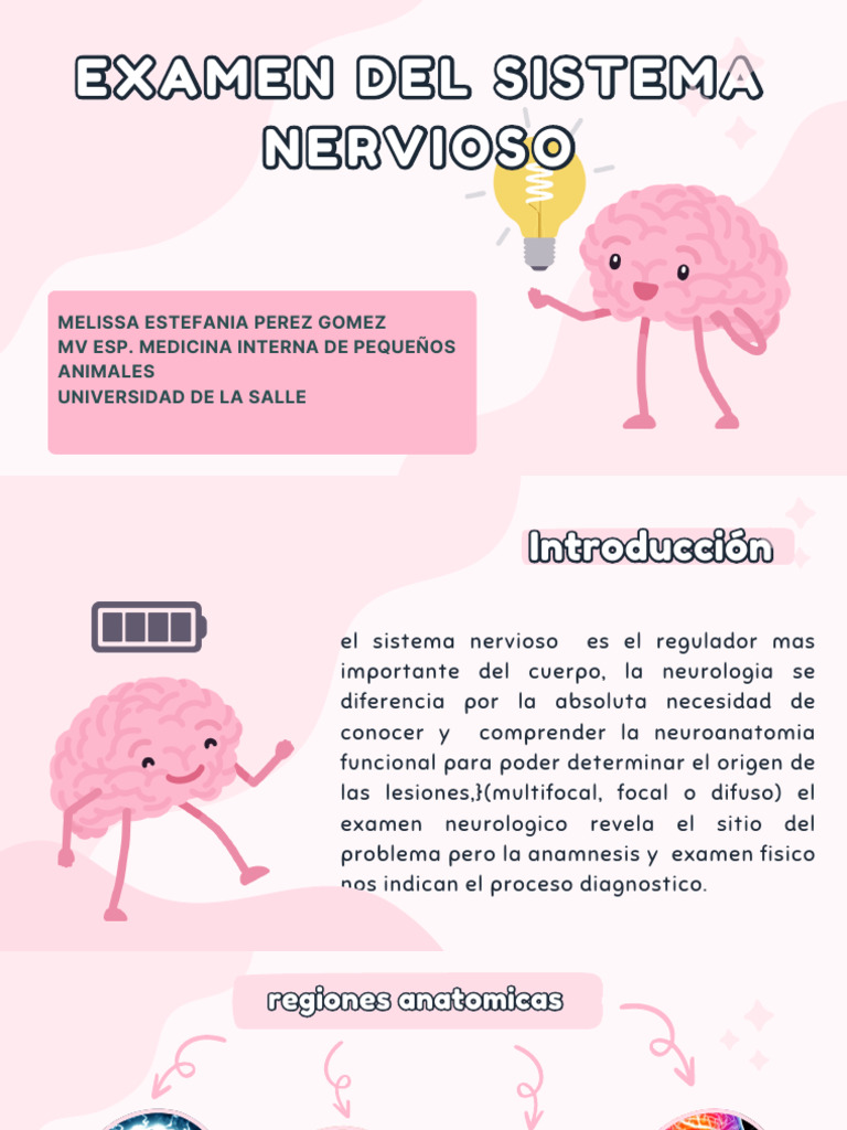 Examen Del Sistema Nervios | PDF | Cerebro | Anatomía