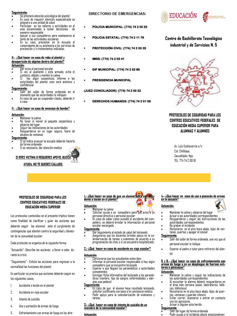 Protocolos de Seguridad Triptico 1 | PDF