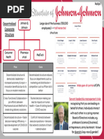 Novartis Org Chart | PDF | Novartis | Business Process