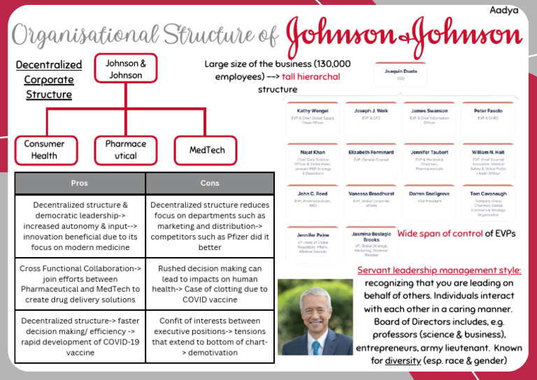 Johnson & Johnson's Decentralized Structure | PDF