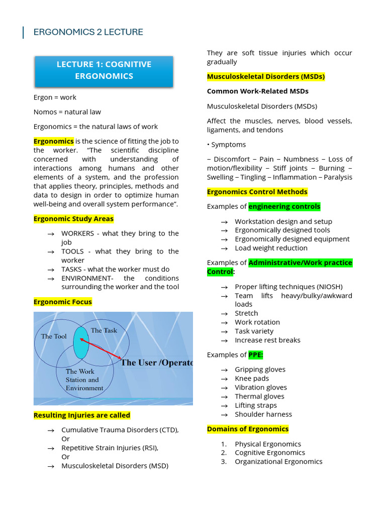 ERGONOMICS 2 LEC 1 | PDF | Cerebrum | Human Factors And Ergonomics