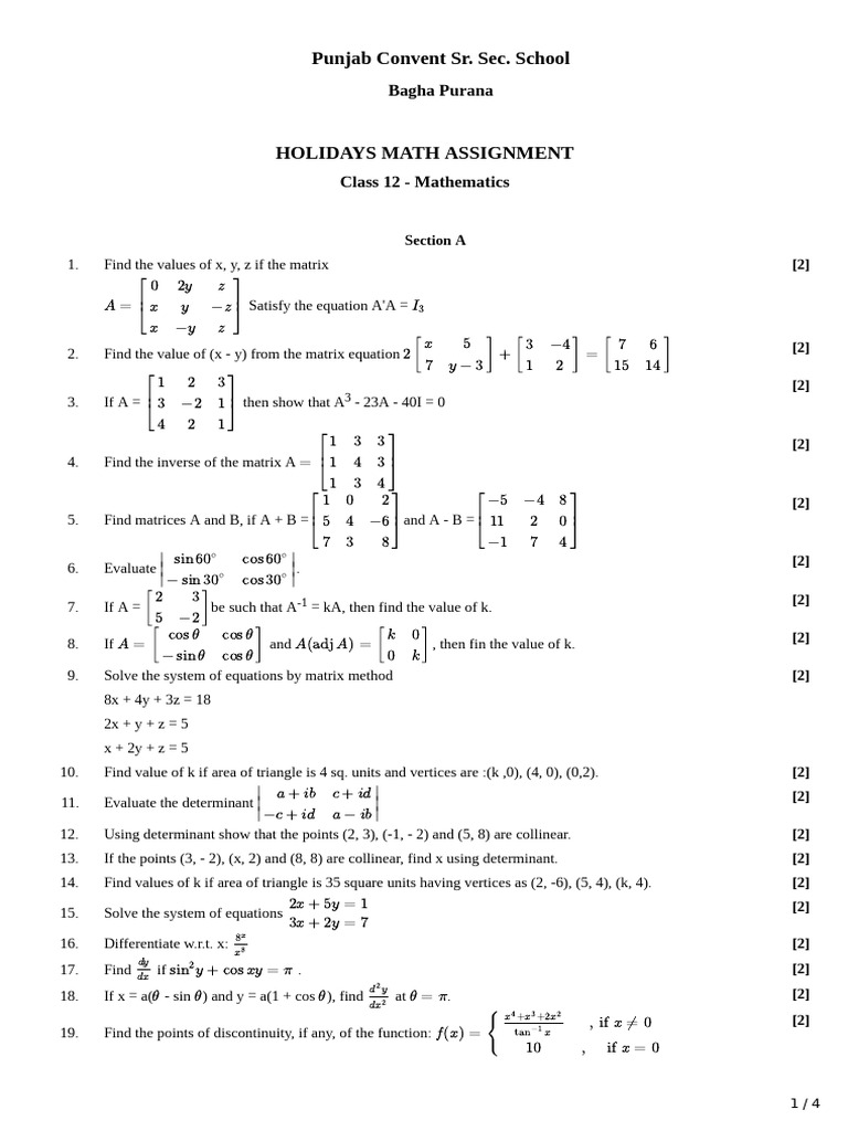 12th Math Holidays Work Assignment | PDF | Matrix (Mathematics ...