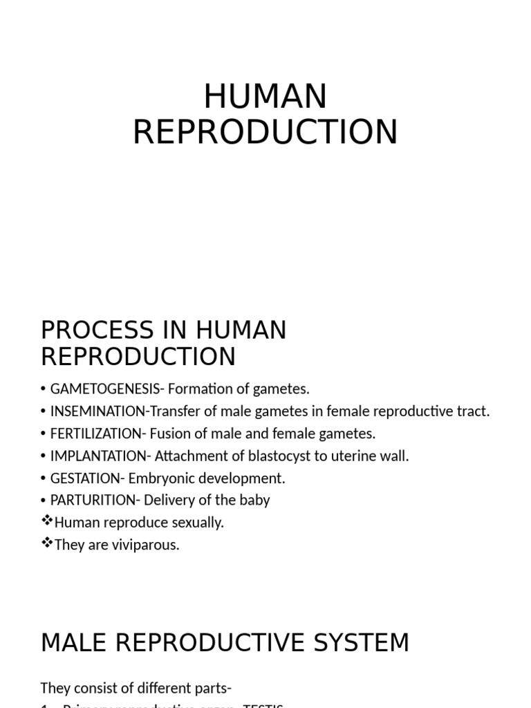 Human Reproduction - 081730 | PDF | Testicle | Labia