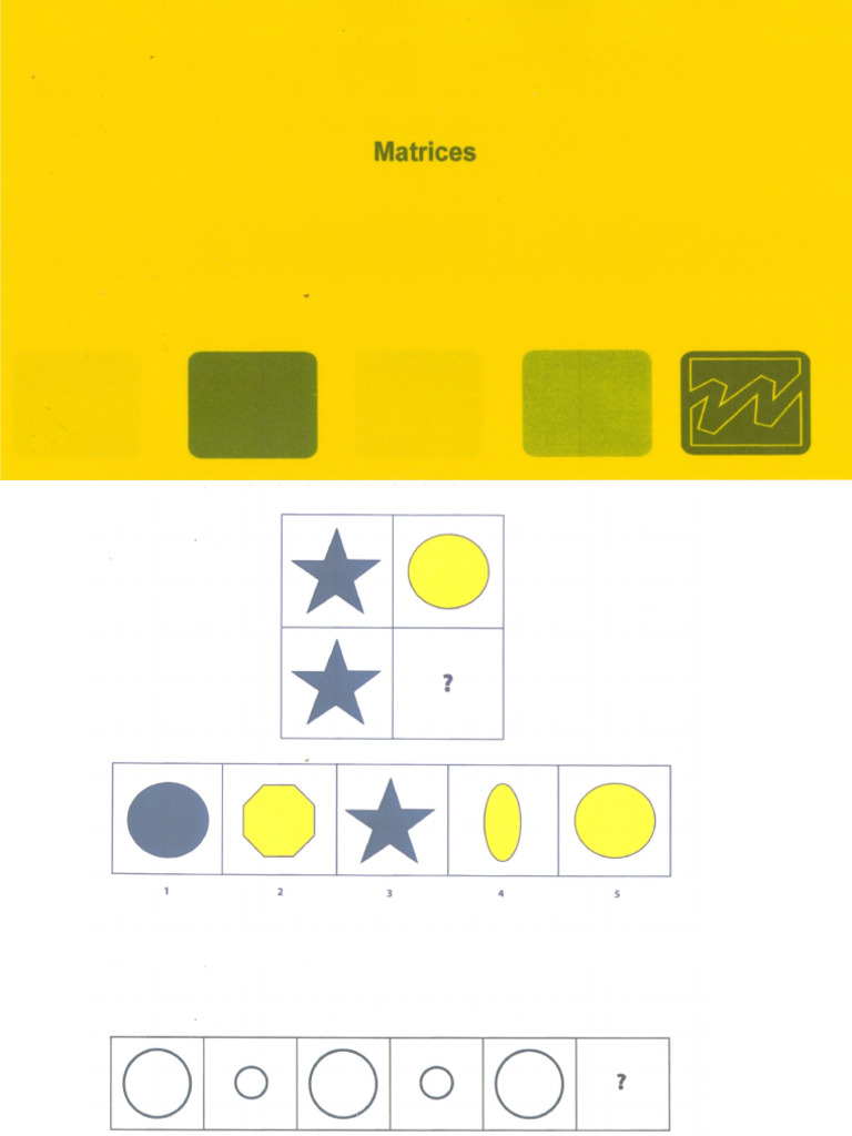Matrices WAIS IV | PDF